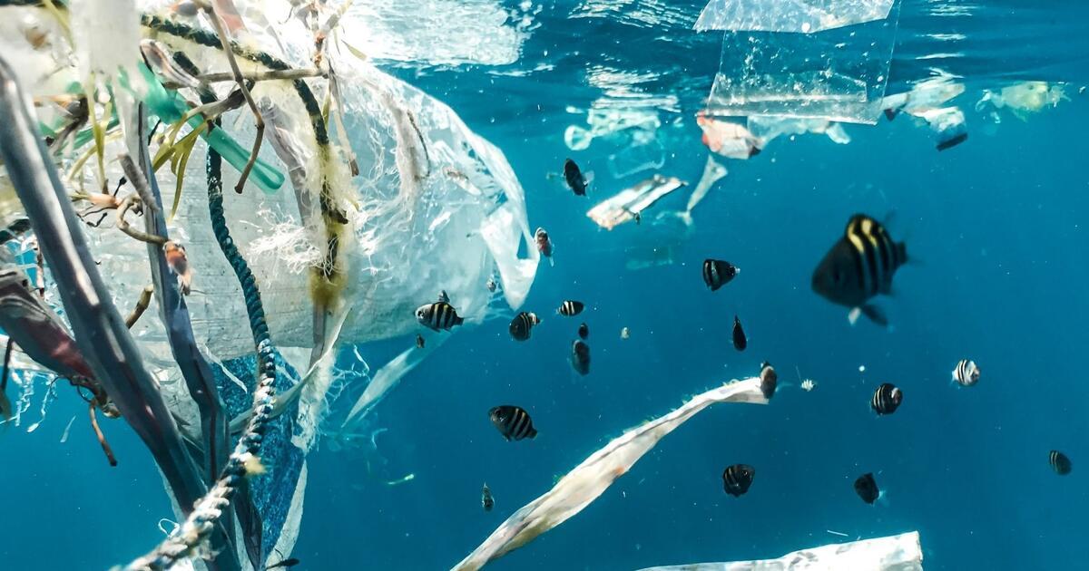 What’s the solution to plastic pollution? | Royal Institution