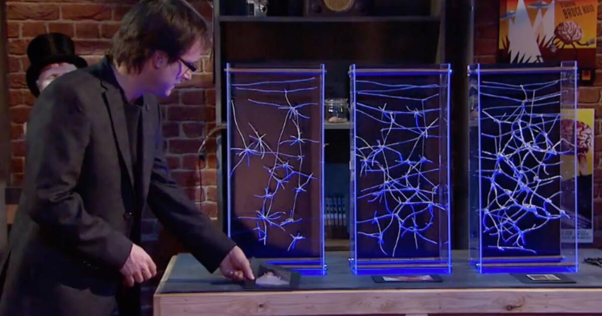 Meet your brain – Who's in charge here anyway? (2011) | Royal Institution