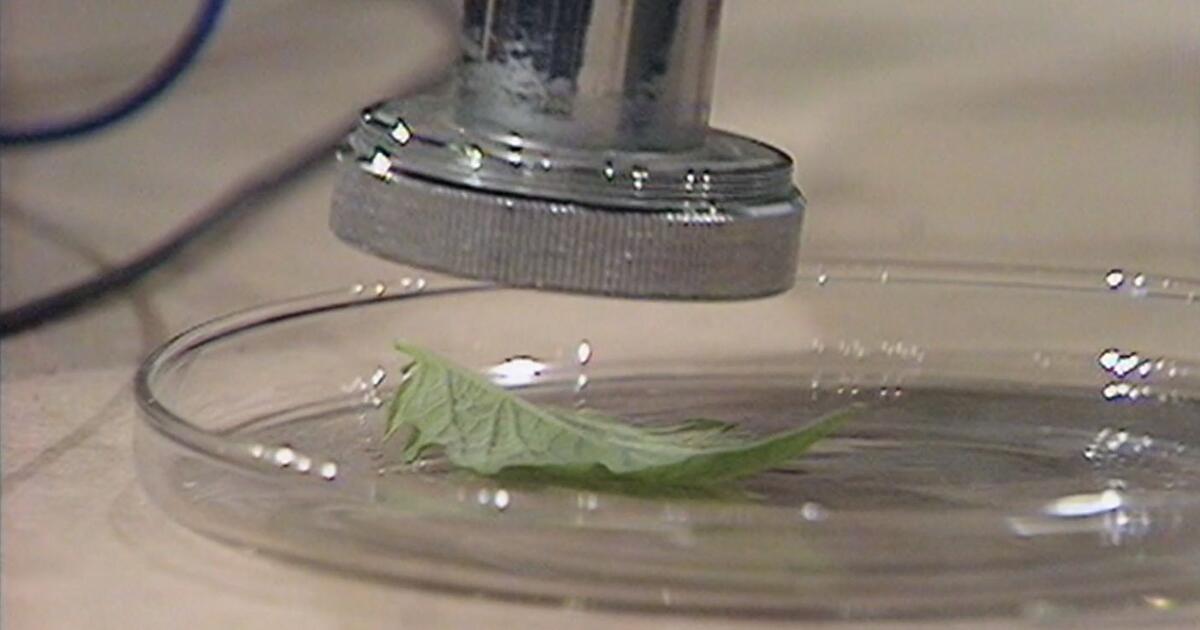 Atoms for enquiring minds: A circus of experiments – Atoms that explode ...