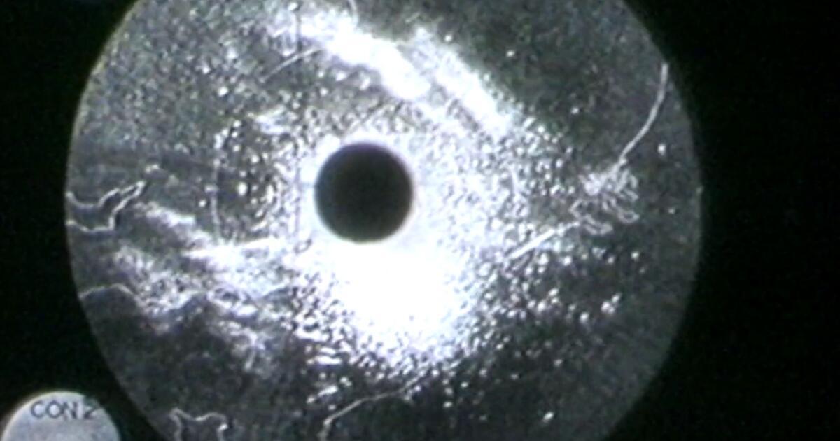 Communicating – The bionic bat (1985) | Royal Institution