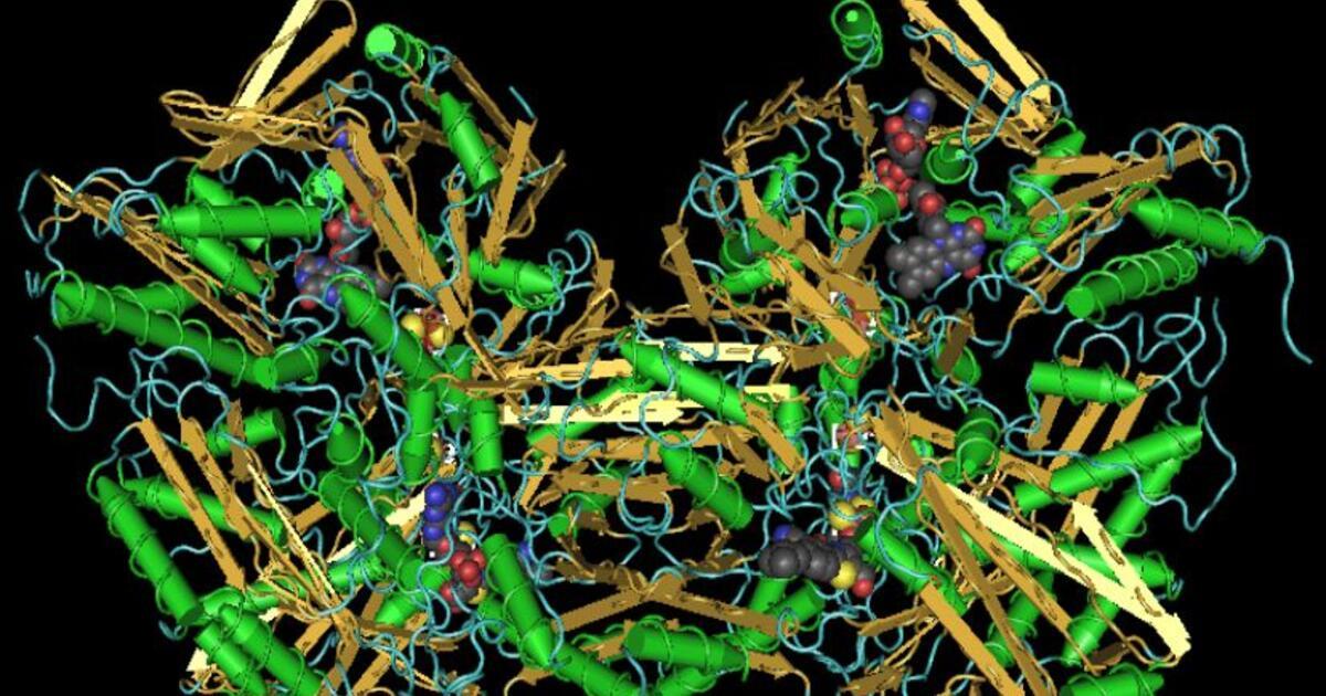 Podcast: Quantum biology - with Nigel Scrutton, Alexandra Olaya-Castro ...