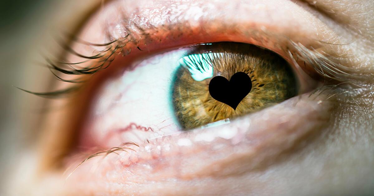 The science of love at first sight | Royal Institution