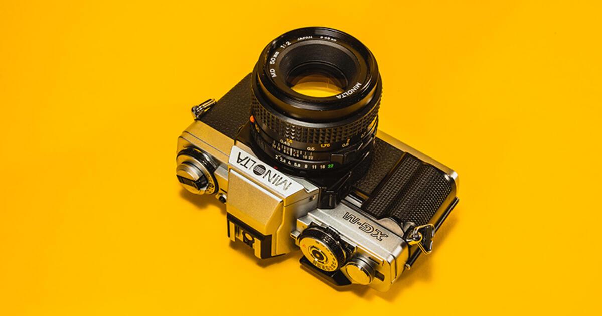 Capturing science - Winners of the Woman Science Photographer of the ...