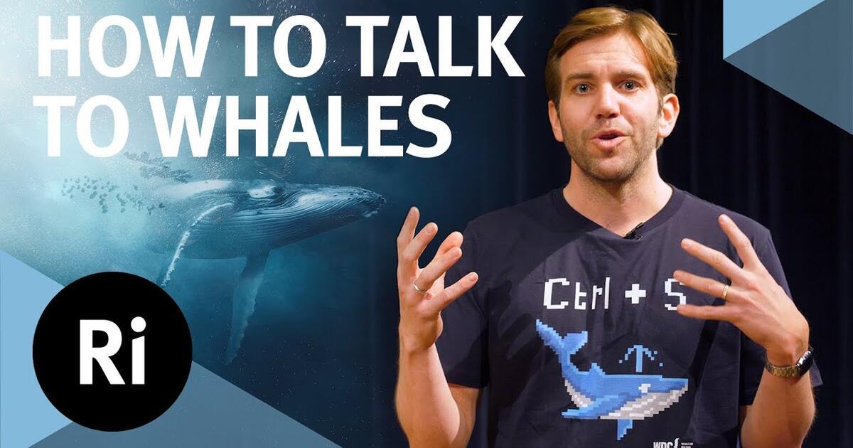 How to speak whale – with Tom Mustill and Michael Bronstein | Royal ...