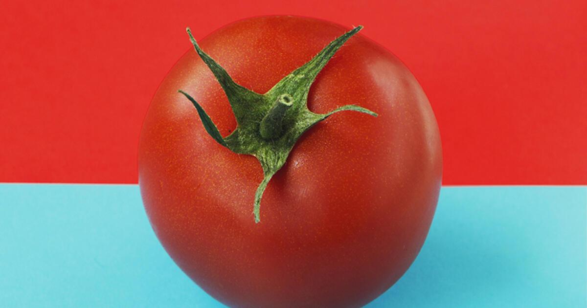 GMOs: good or bad? History and science | Royal Institution