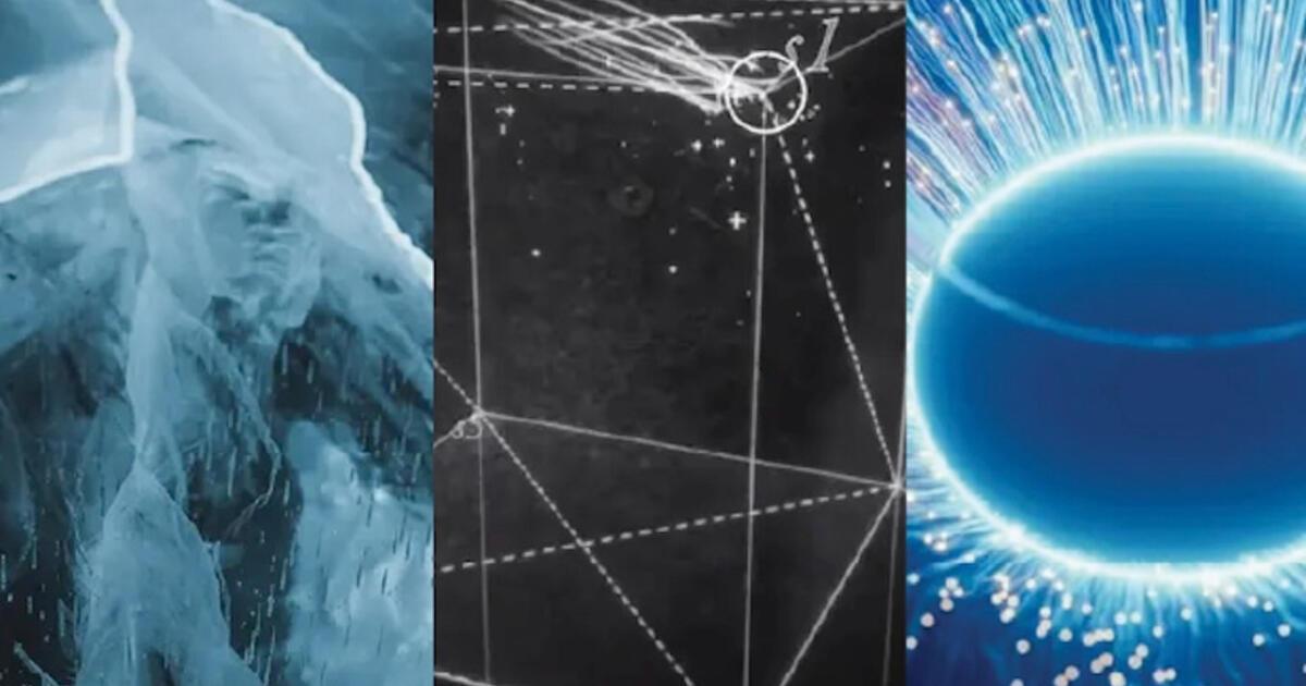 The Ri is back with an exciting Autumn 2025 programme | Royal Institution