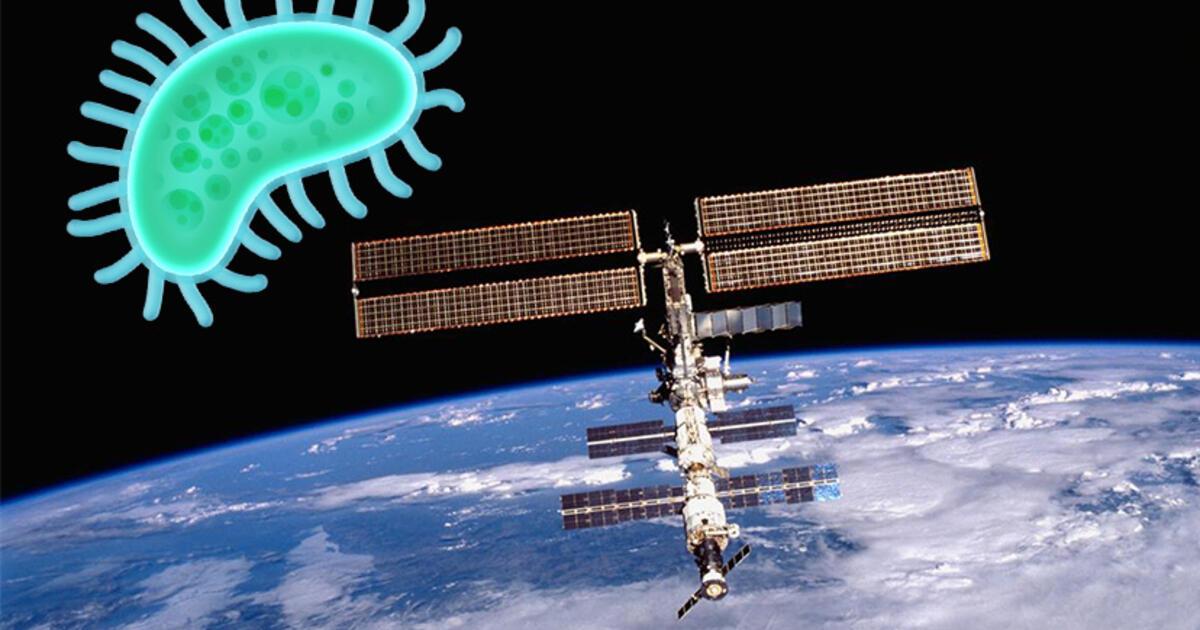 Houston, We Have a Microbe: What Happens When Bacteria Leave Earth ...