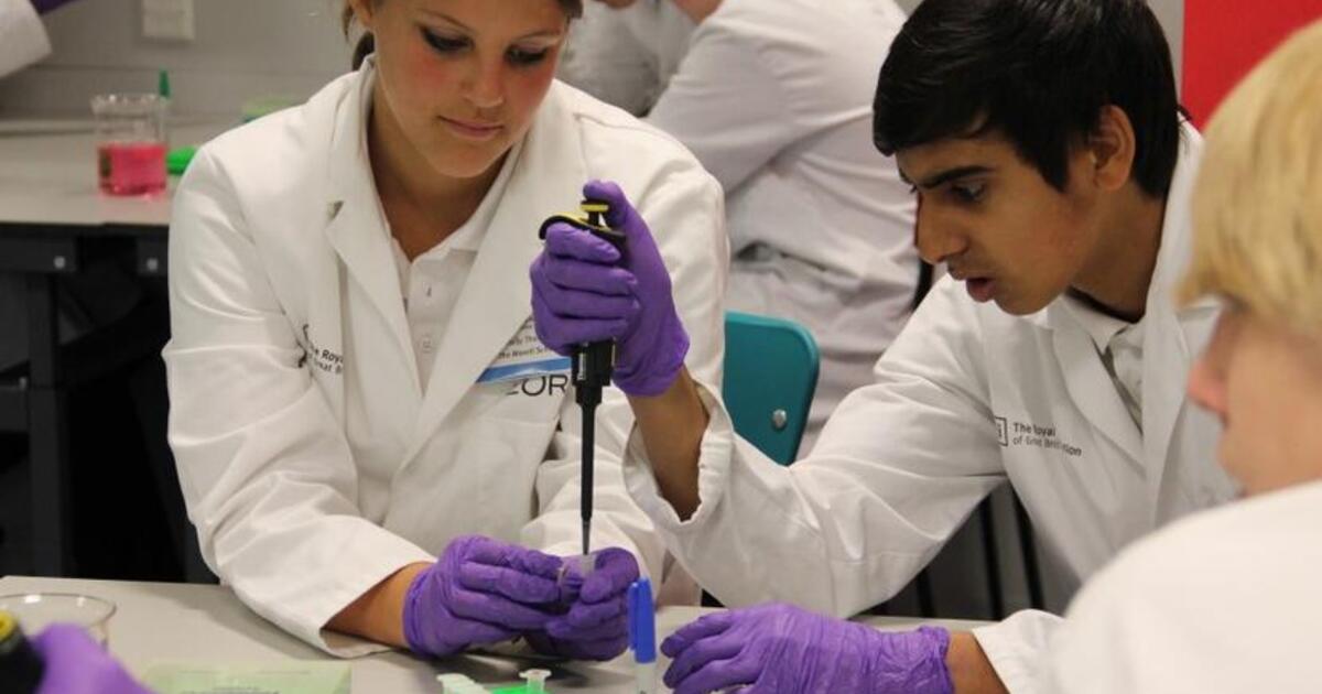 Holiday workshops: Colour chemistry (ages 15–18) | Royal Institution