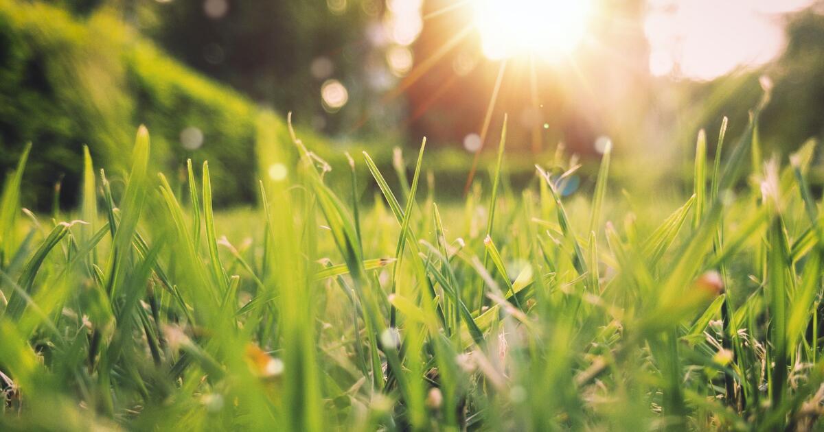 Home | Royal Institution