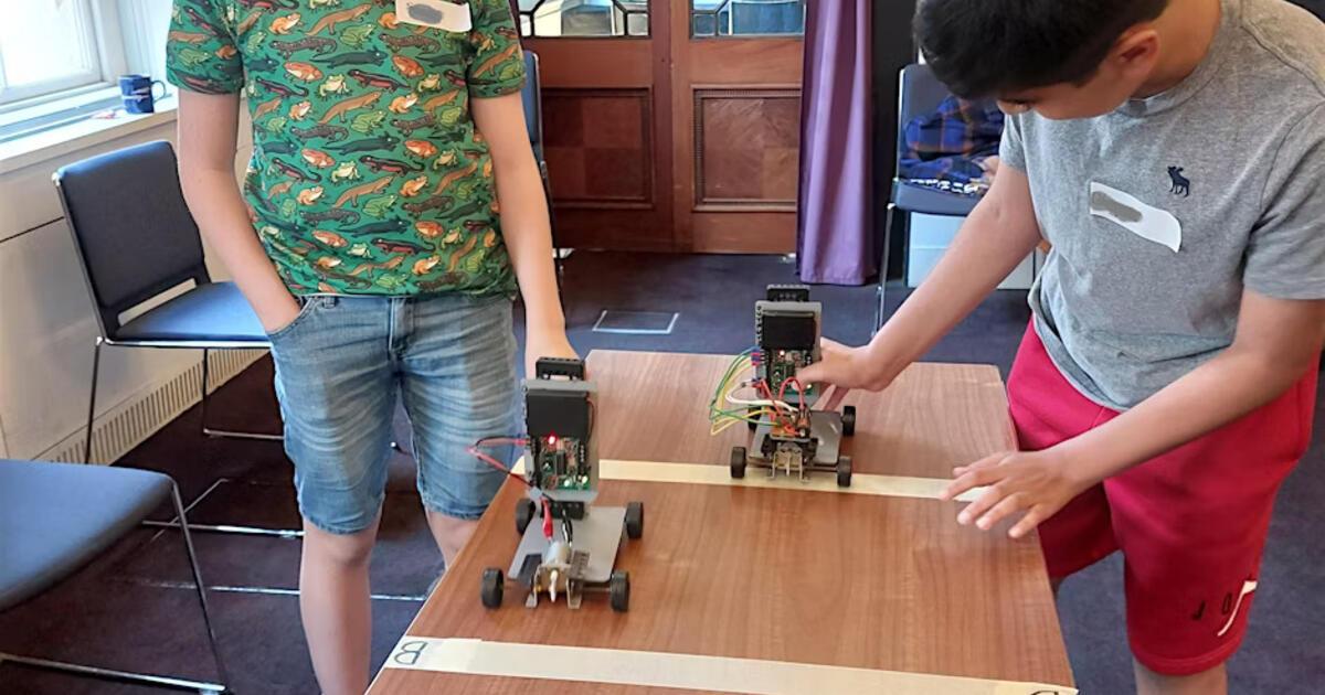 Holiday workshops: Electronic and Electrical Control: Next level ...