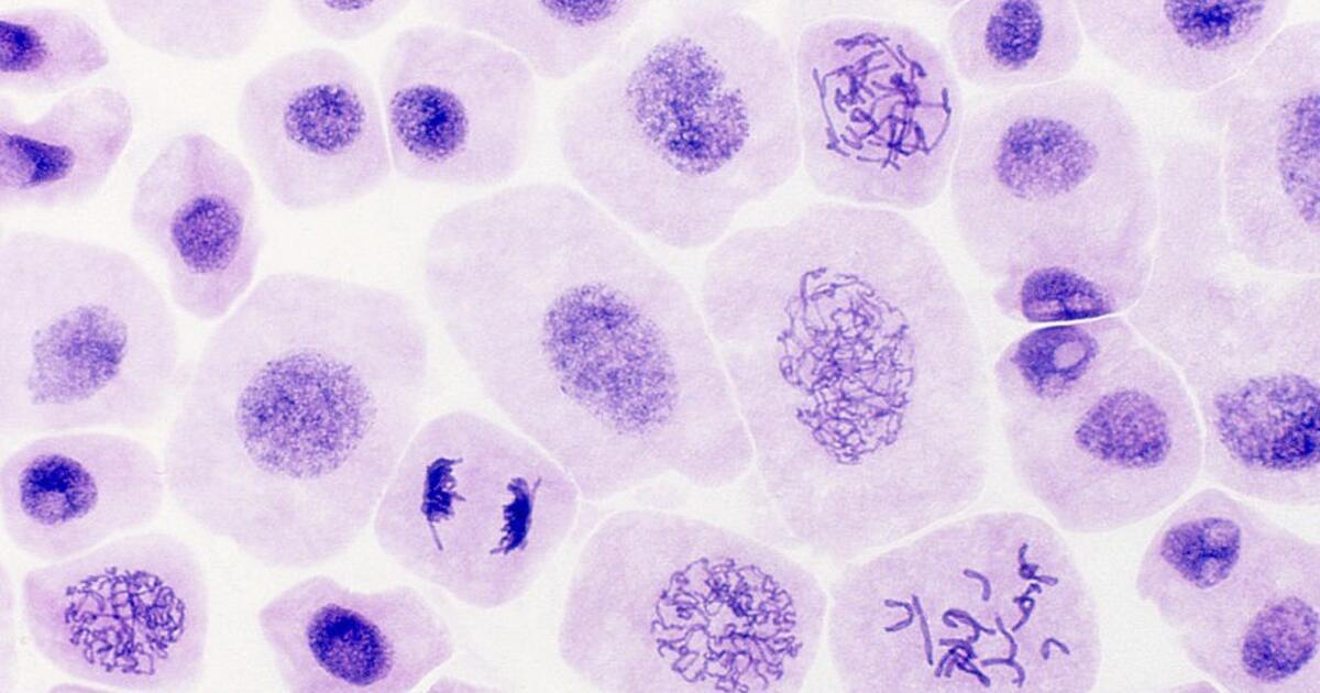 For your inspiration: inside DNA | Royal Institution